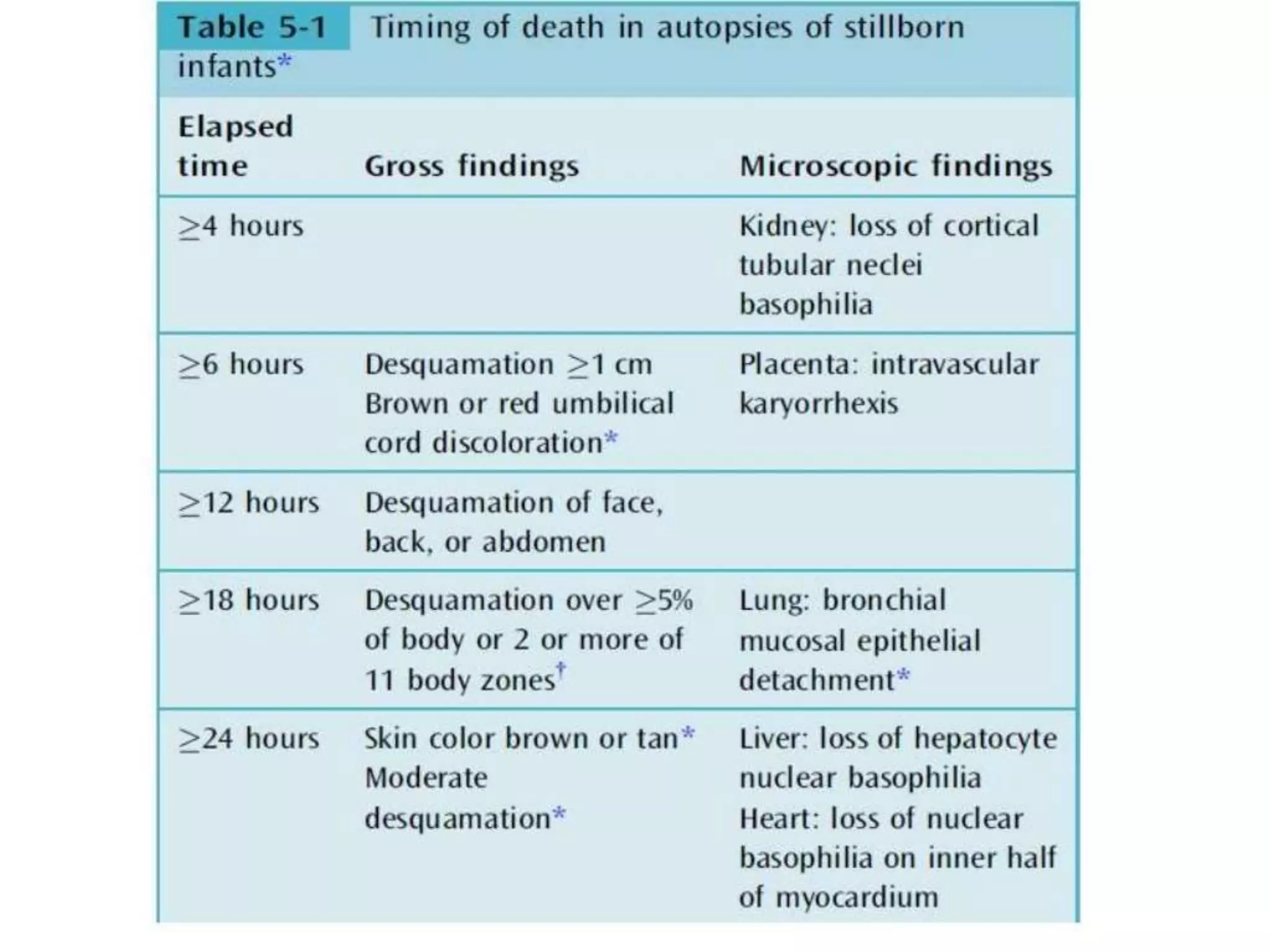 Fetal autopsy | PPTX