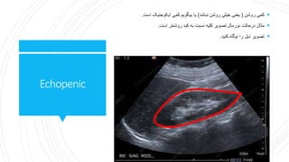 Fetal Baimetry.pdf