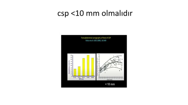 FETAL BEYİN CSP.pptx