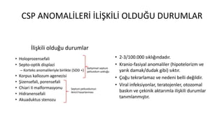 FETAL BEYİN CSP.pptx