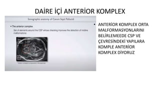 FETAL BEYİN CSP.pptx