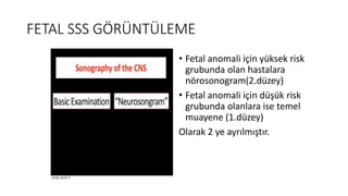 DR.BAHRİ YILDIZ FETAL BEYİN ULTRASONOGRAFİSİ,FETAL BEYİN +CSP+NT ...