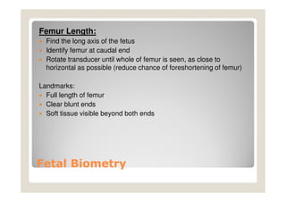 Fetal biometry | PDF