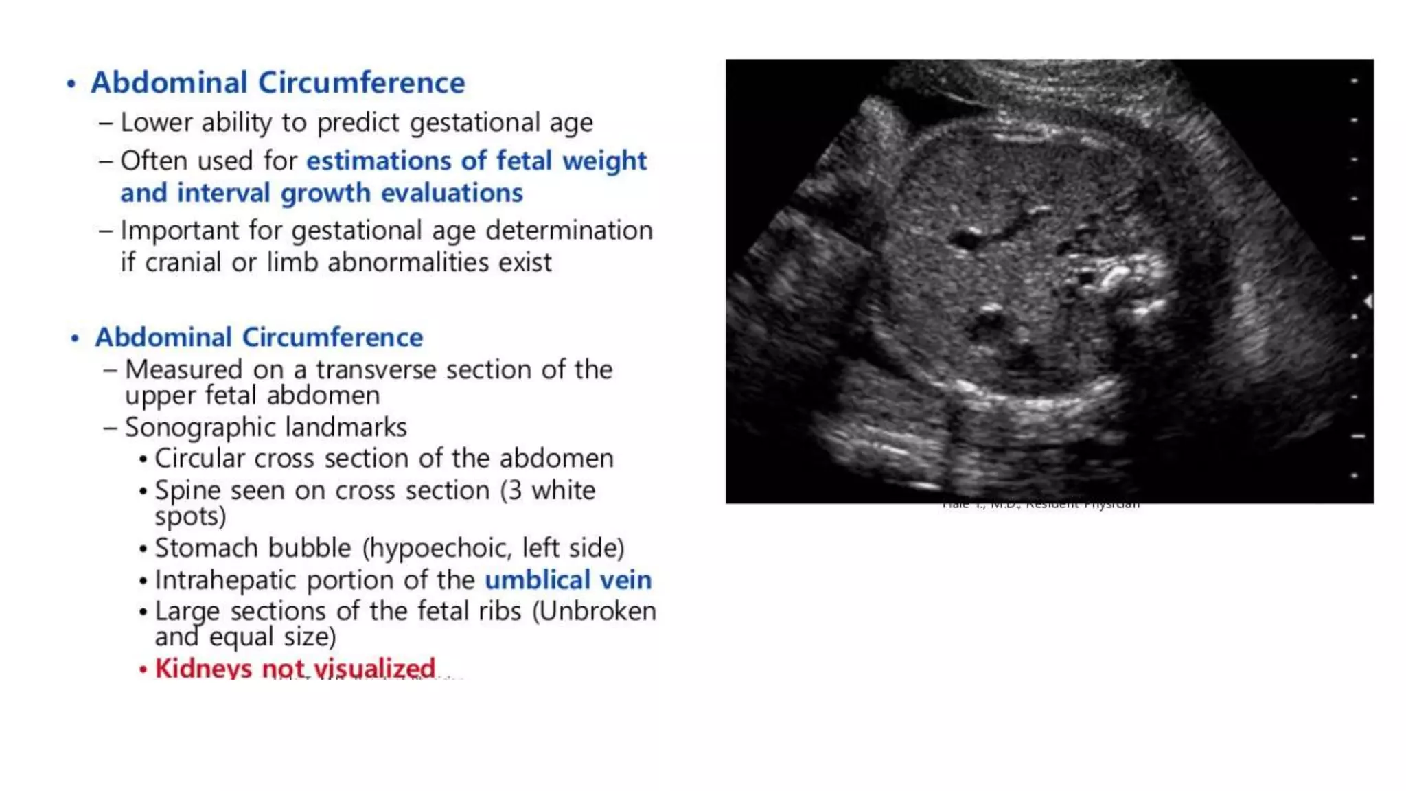 Fetal biometry parameters lk | PPTX