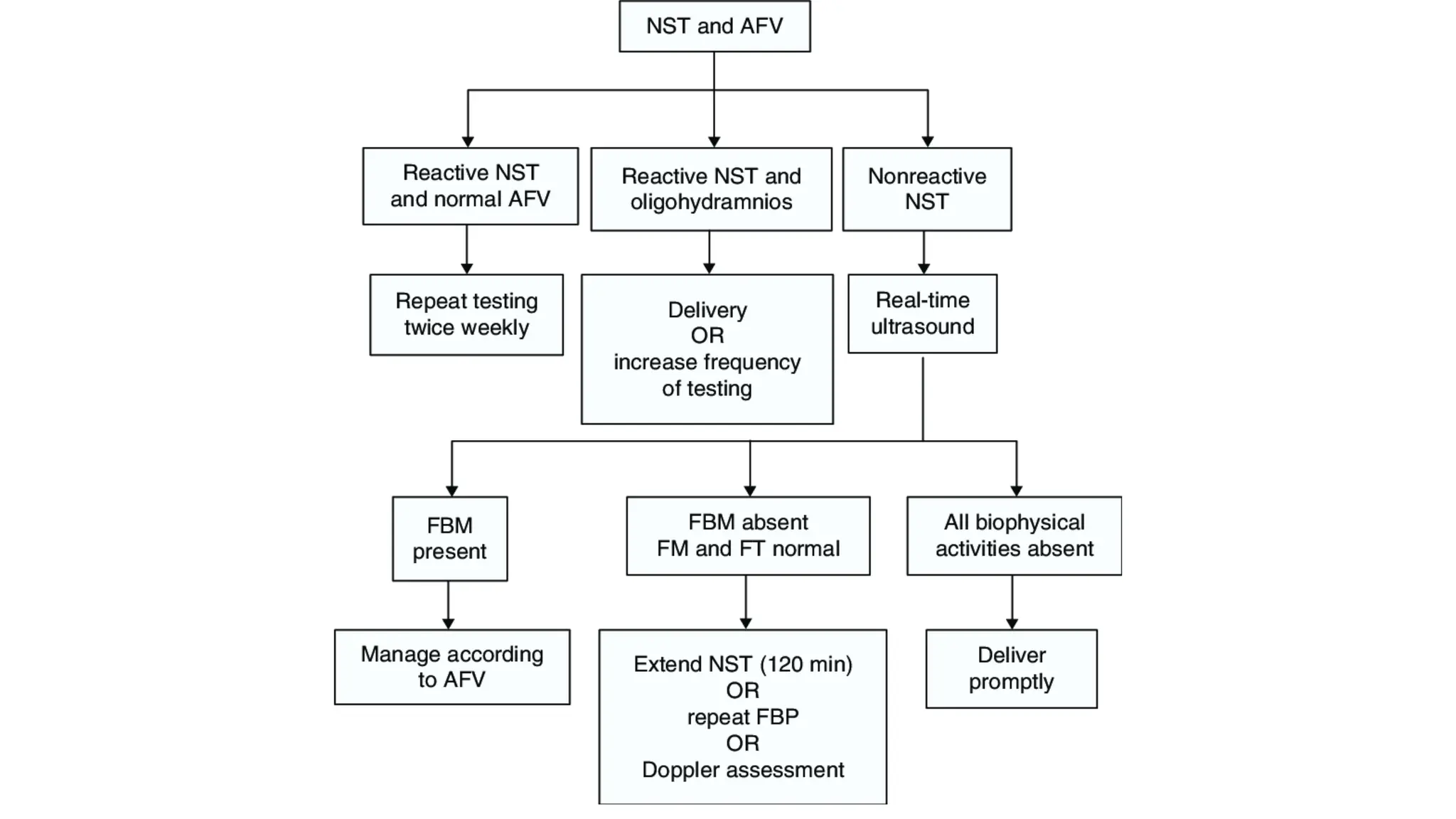 Fetal Biophysical profilekgkgjggkgjgjg.pptx
