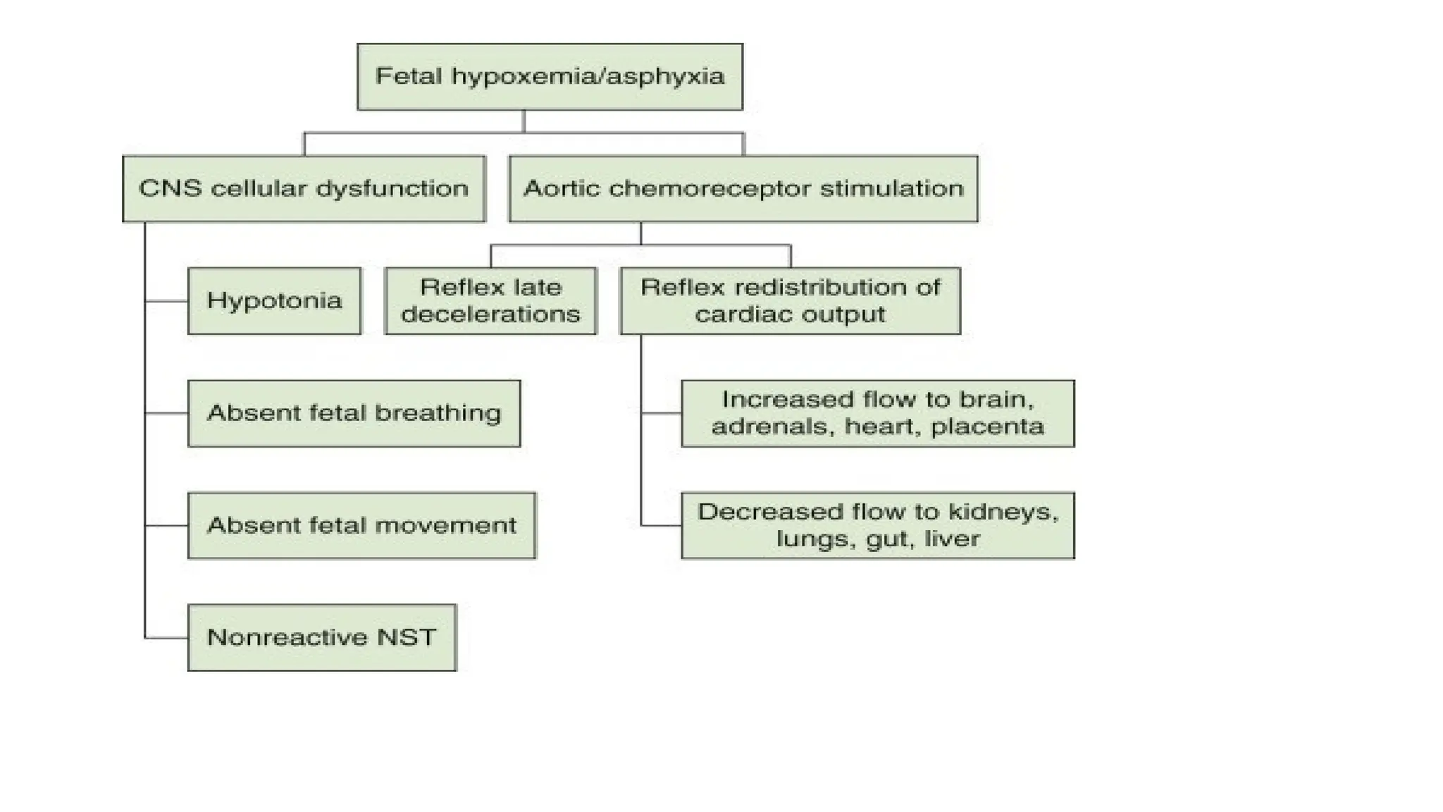 Fetal Biophysical profilekgkgjggkgjgjg.pptx