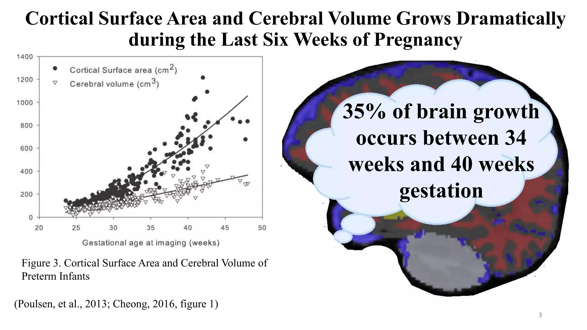 Fetal brain development and cellular functions | PPTX