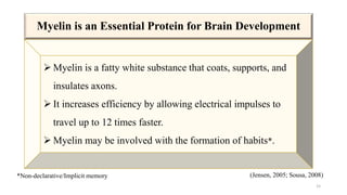 Fetal brain development and cellular functions | PPTX