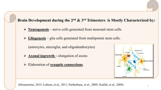 Fetal brain development and cellular functions | PPTX