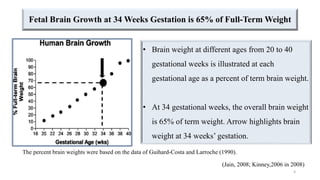 Fetal brain development and cellular functions | PPTX