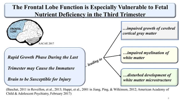 Fetal brain development and cellular functions | PPTX