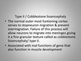 Fetal brain usg 3 | PPTX