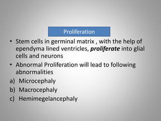 Fetal brain usg 3 | PPTX