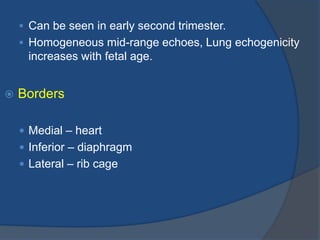 Fetal chest.pptx