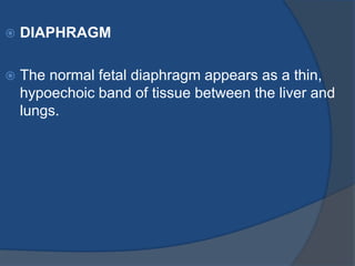 Fetal chest.pptx
