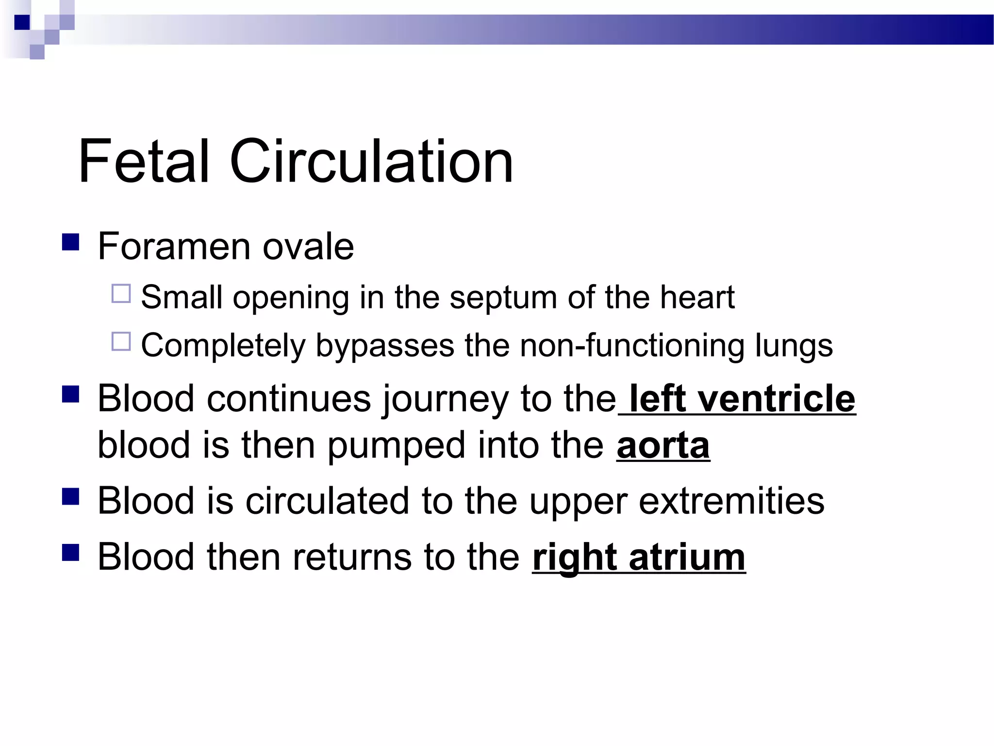 Fetalcirculation | PPT