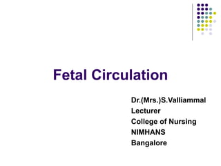 Fetalcirculation | PPT