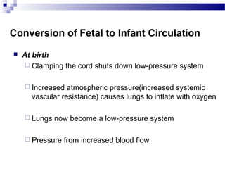 Fetalcirculation | PPT