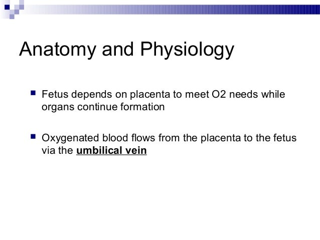 Fetal Circulation – DR. TRYNAADH
