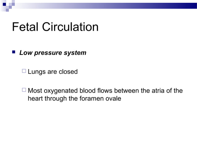 Fetalcirculation | PPT
