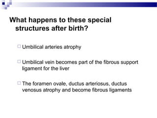 Fetalcirculation | PPT