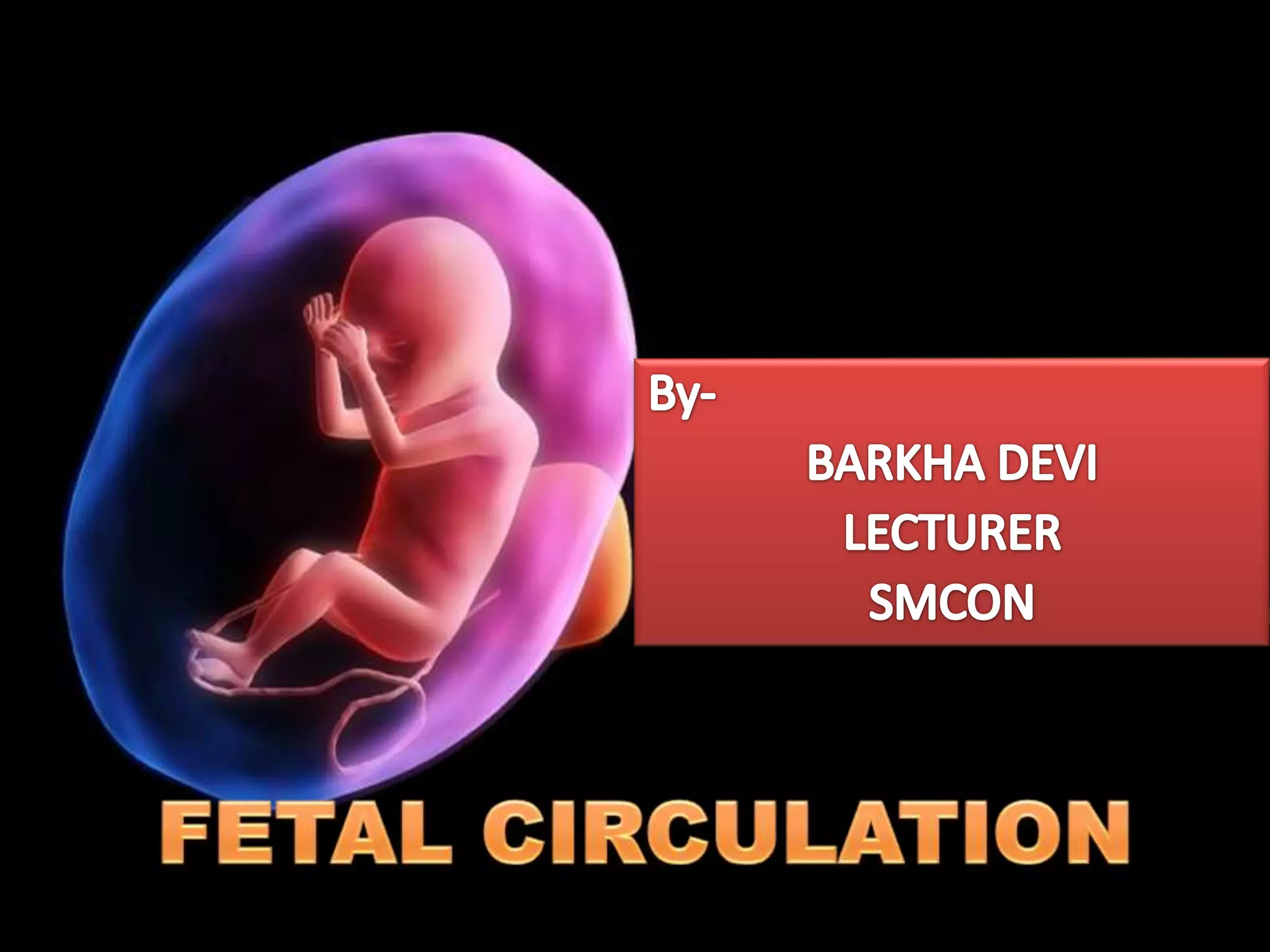 Fetal Circulation by Barkha Devi,Lecturer,Sikkim Manipal College of ...