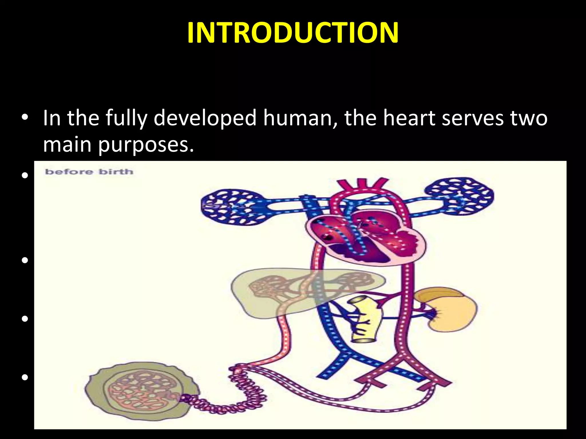 Fetal Circulation by Barkha Devi,Lecturer,Sikkim Manipal College of ...