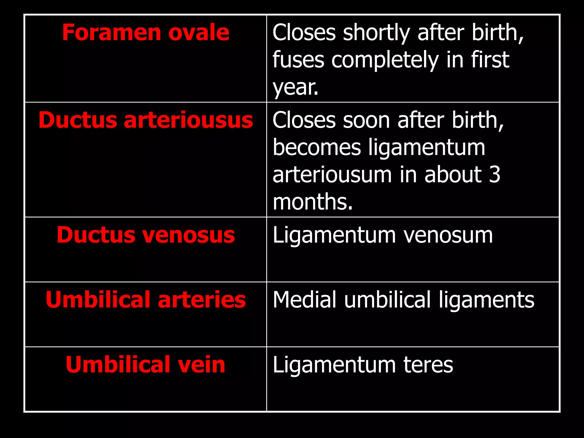 Fetal Circulation by Barkha Devi,Lecturer,Sikkim Manipal College of ...