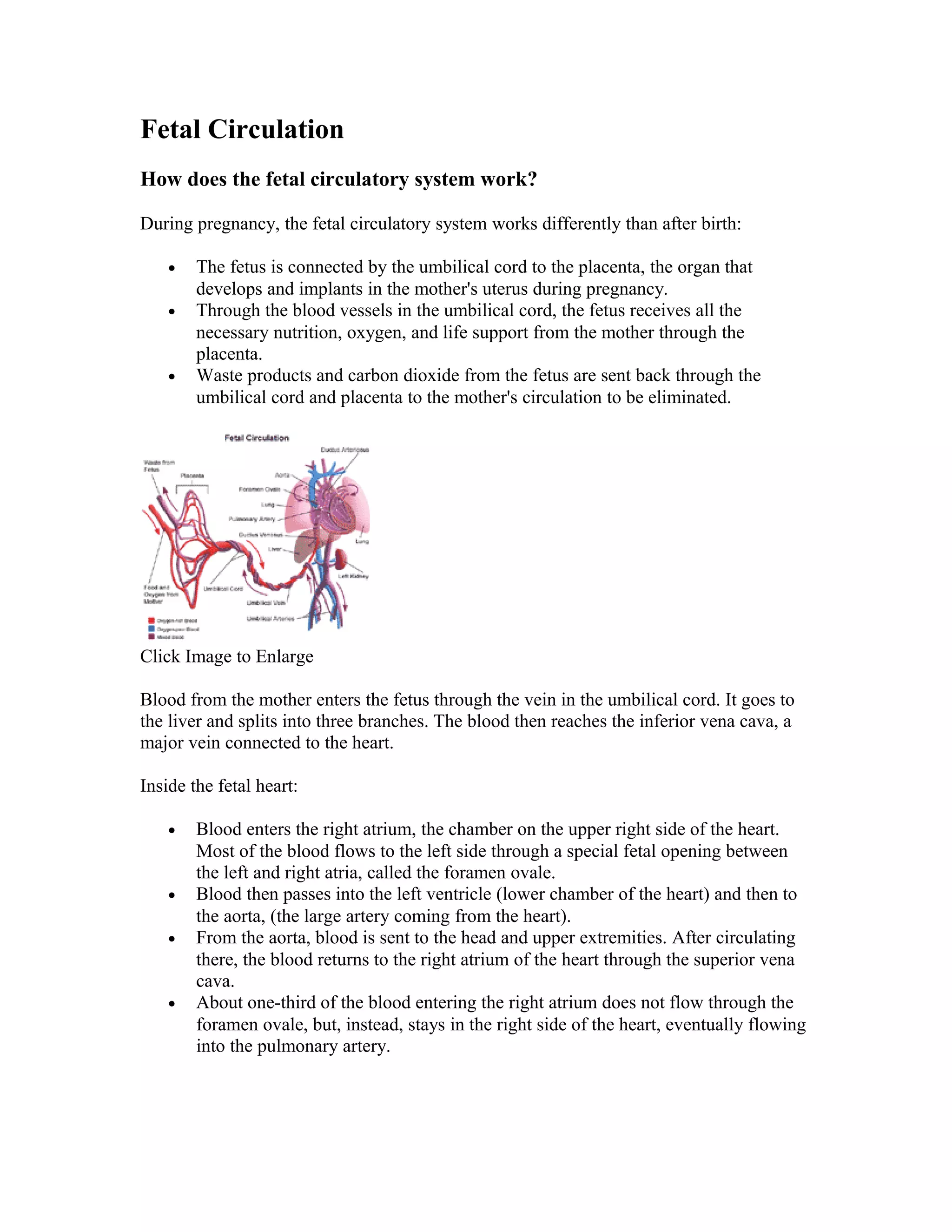 Fetal circulation | DOC