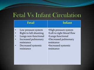 Fetal circulation | PPTX