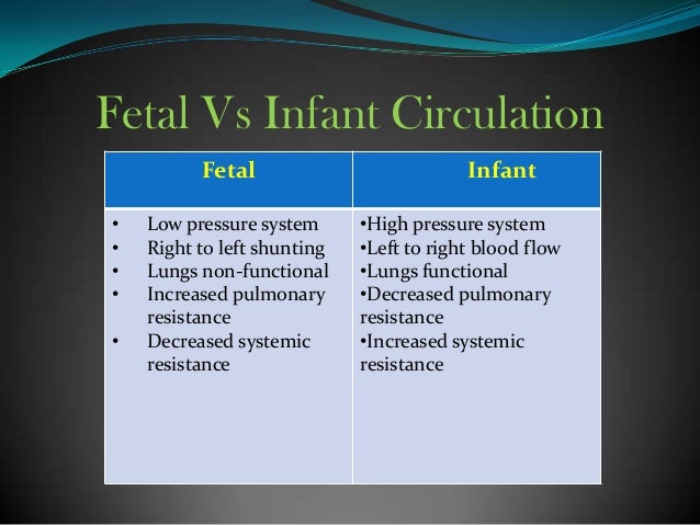 Fetal Circulation – DR. TRYNAADH