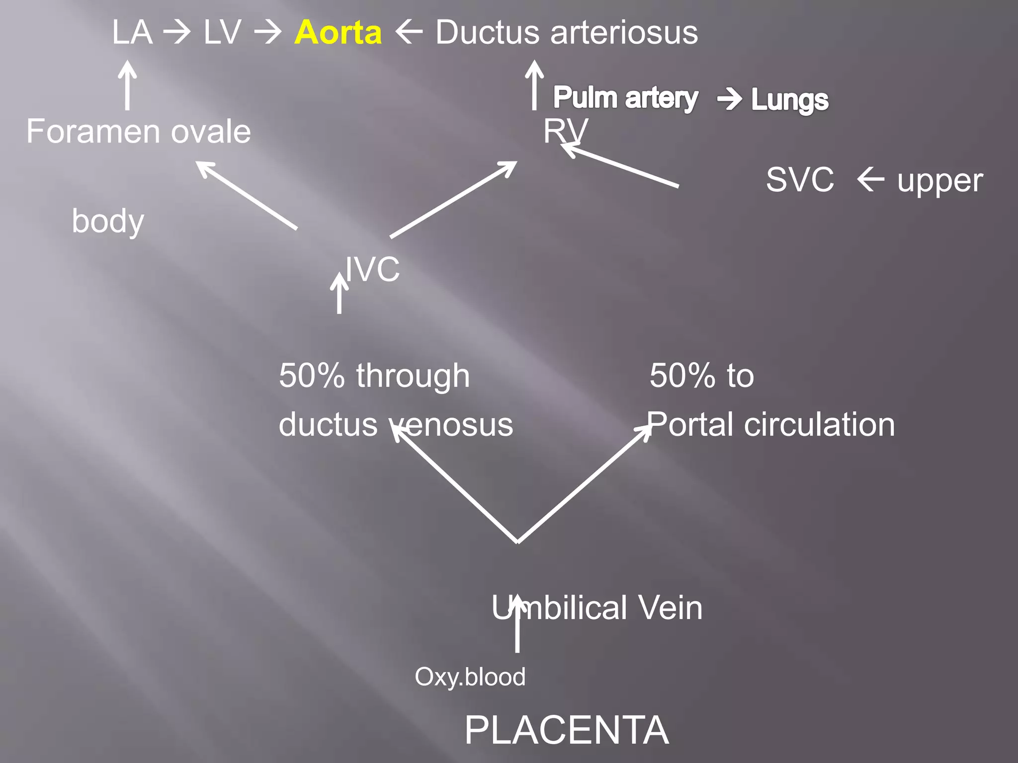 Fetal circulation by dr.srikanta biswas | PPTX