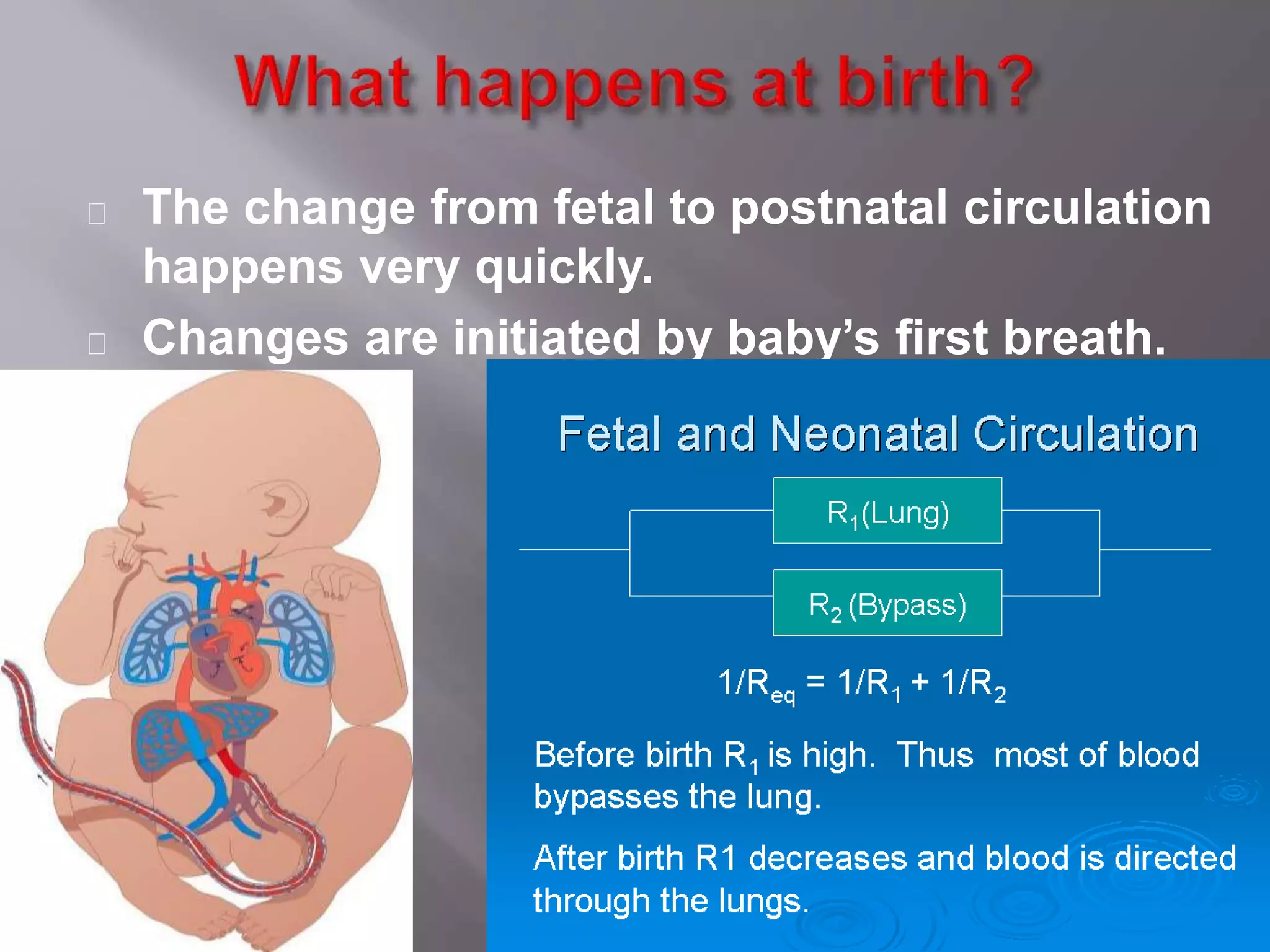 Fetal circulation by dr.srikanta biswas | PPTX