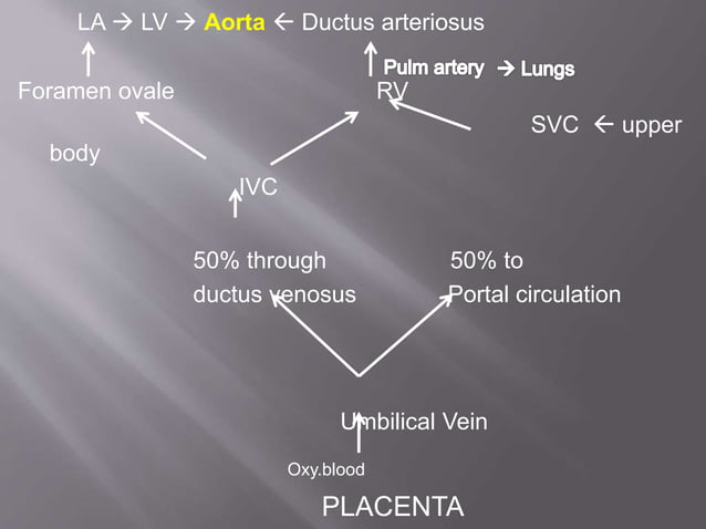 Fetal circulation by dr.srikanta biswas | PPT