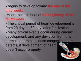Fetal circulation by dr.srikanta biswas | PPT