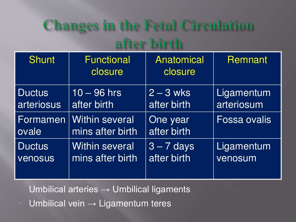 Fetal Circulation By Drsrikanta Biswas