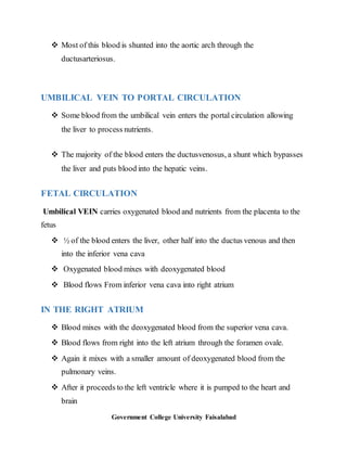 Umbilical Vein Oxygenated Or Deoxygenated