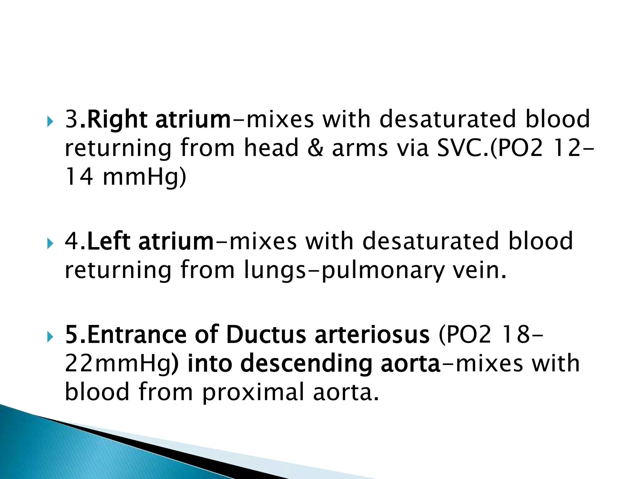 Fetal circulation | PPTX