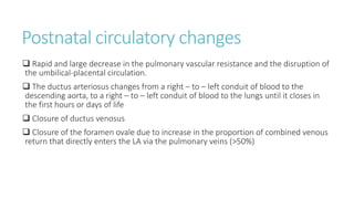 Fetal circulation | PPT
