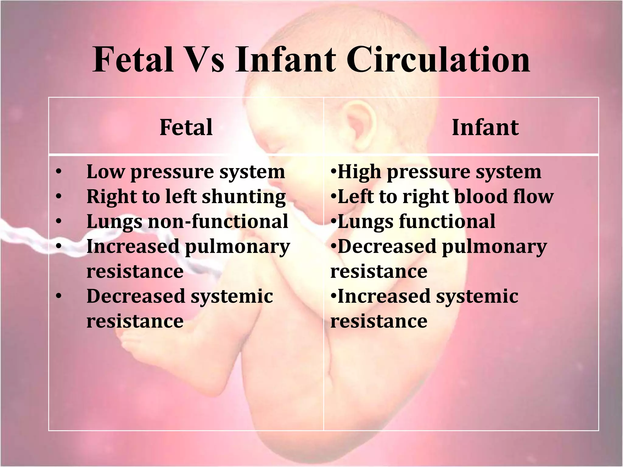 Fetal circulation | PPSX