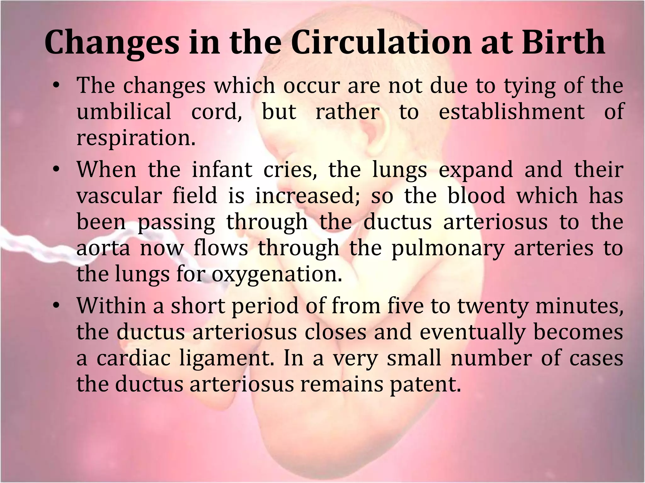 Fetal circulation | PPSX