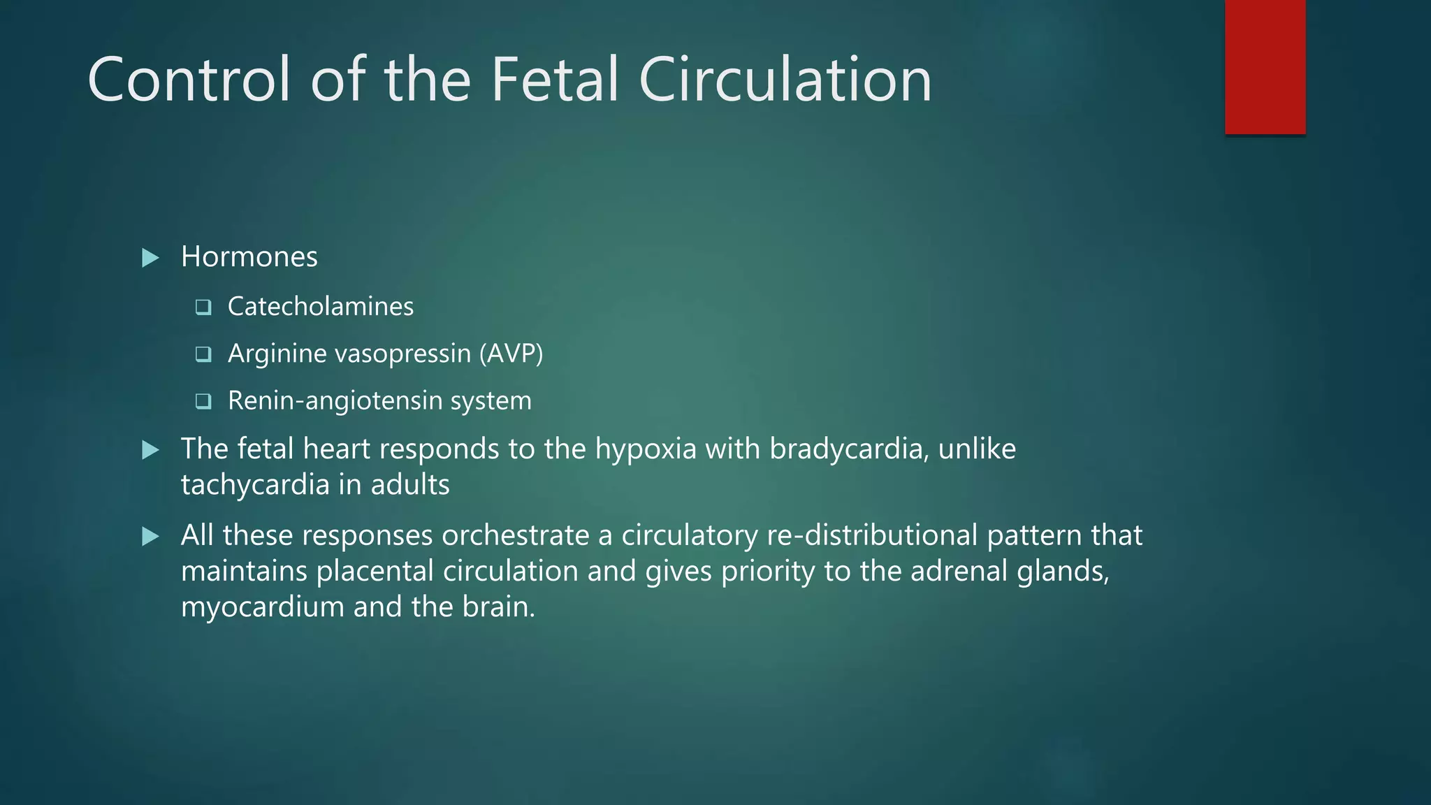 Fetal circulation | PPTX