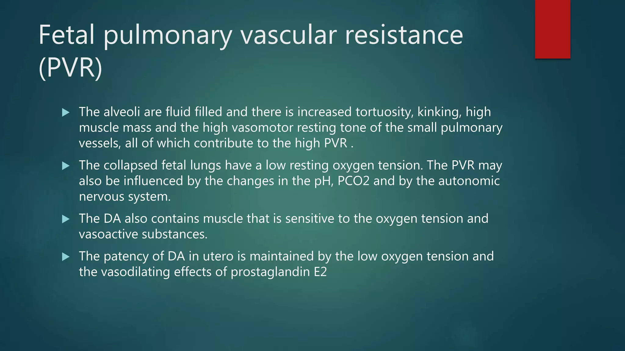 Fetal circulation | PPTX