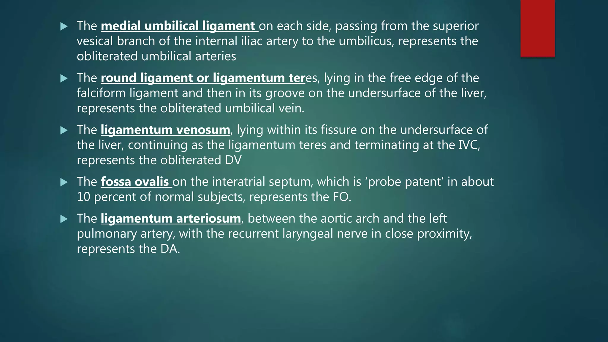 Fetal circulation | PPTX