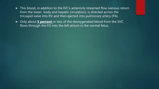 Fetal circulation | PPTX
