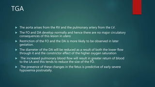 Fetal circulation | PPTX