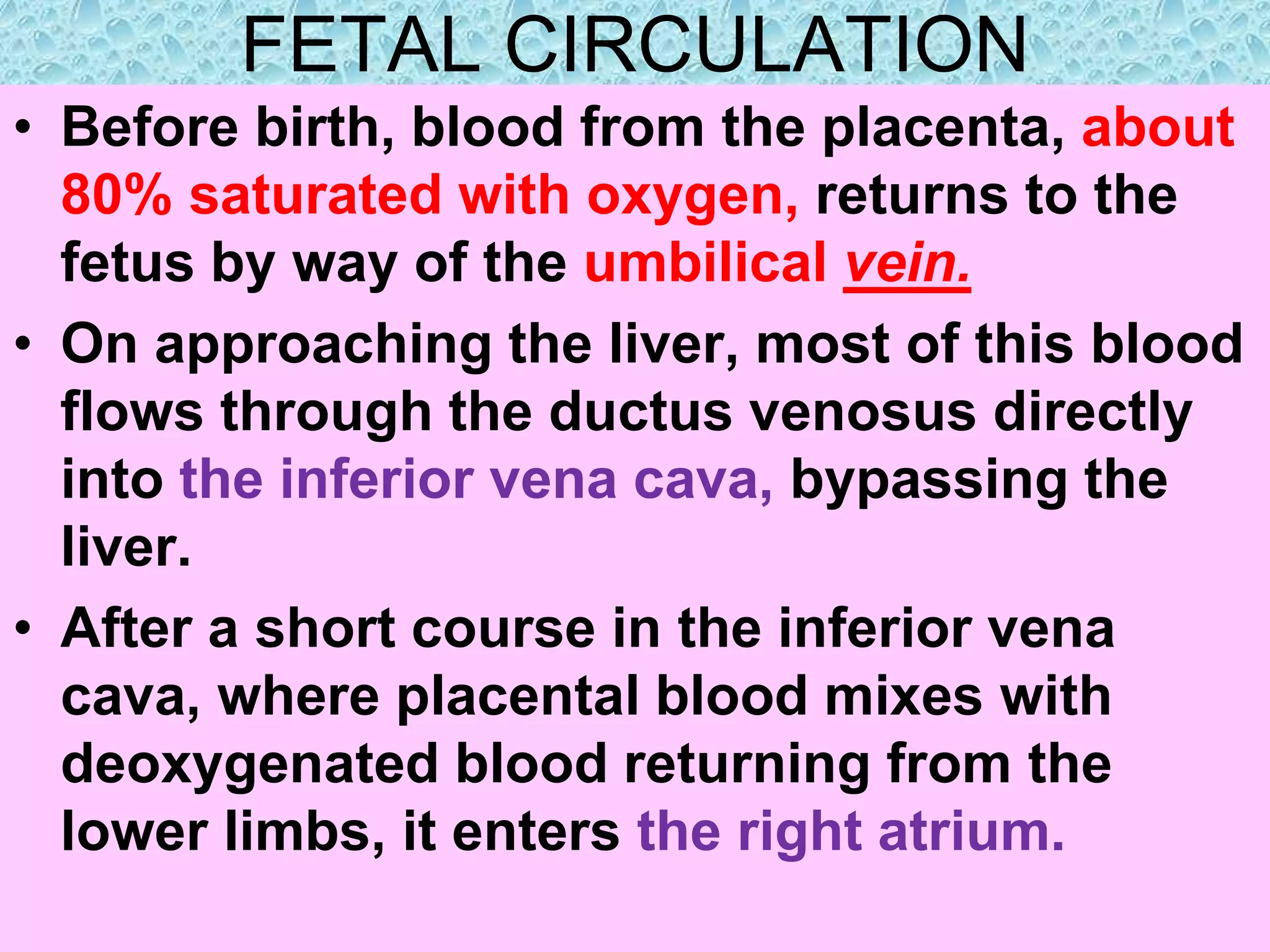 Fetal circulation | PPTX