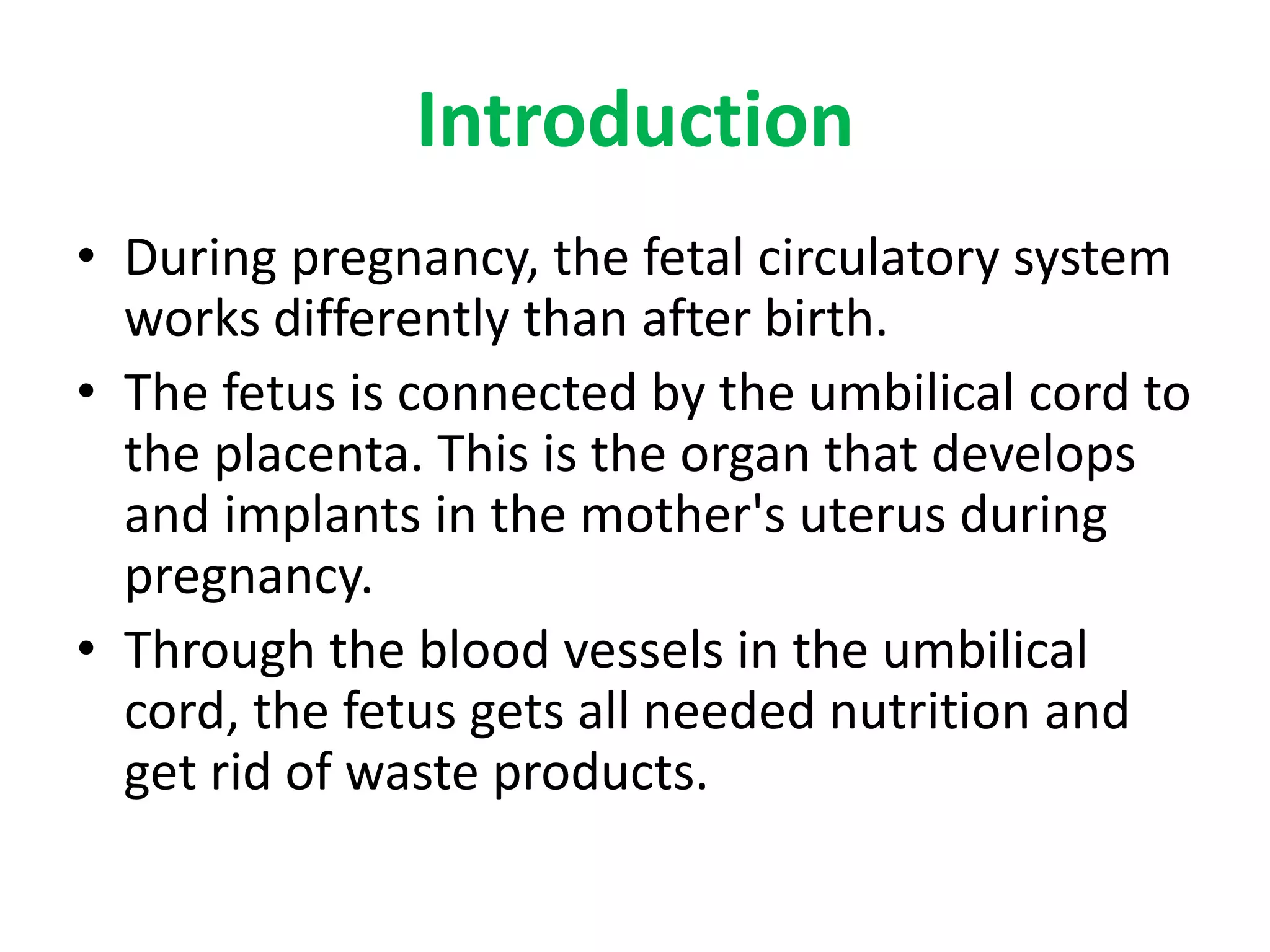 fetalcirculation-200727100552.pdf