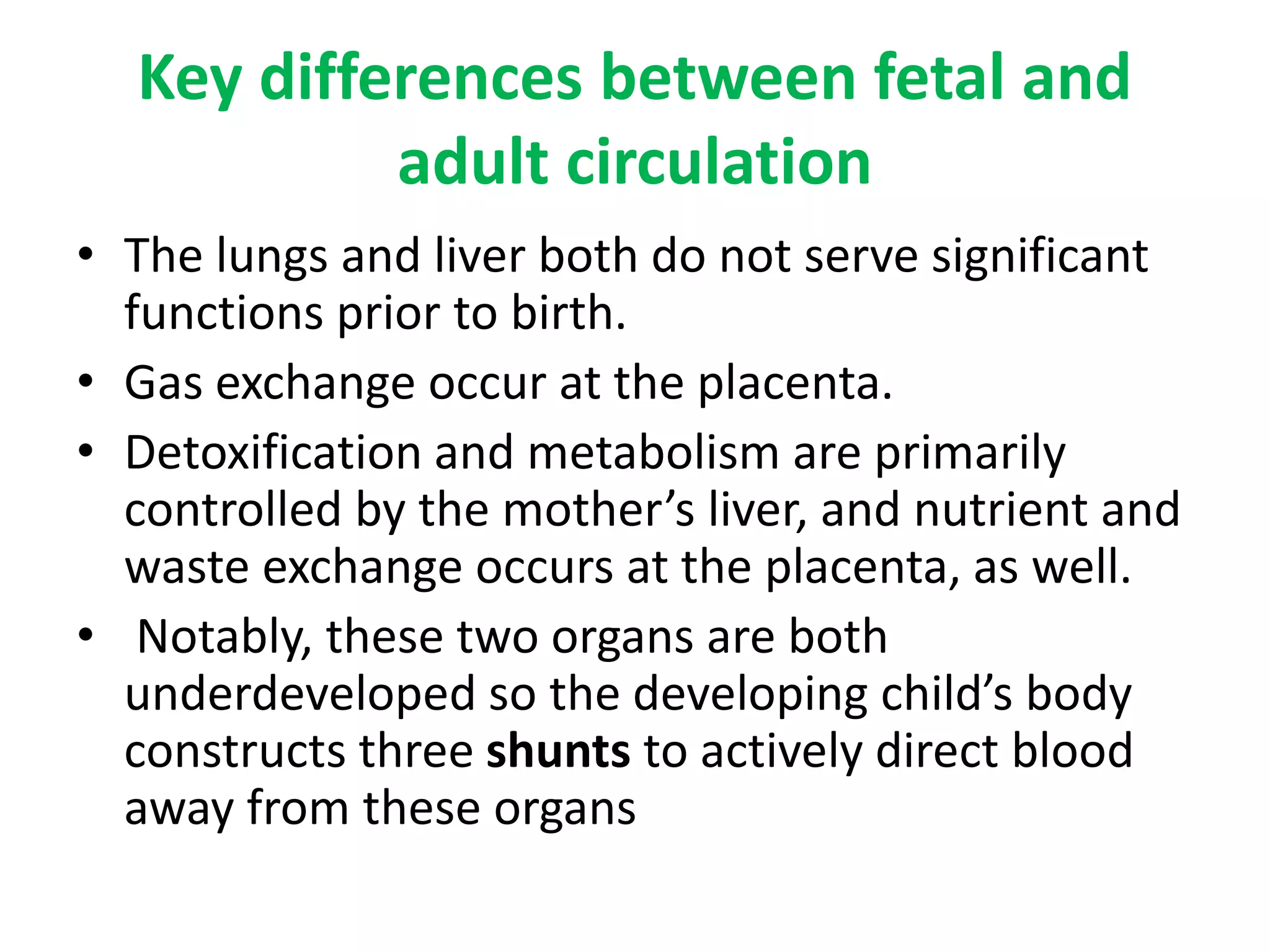 fetalcirculation-200727100552.pdf