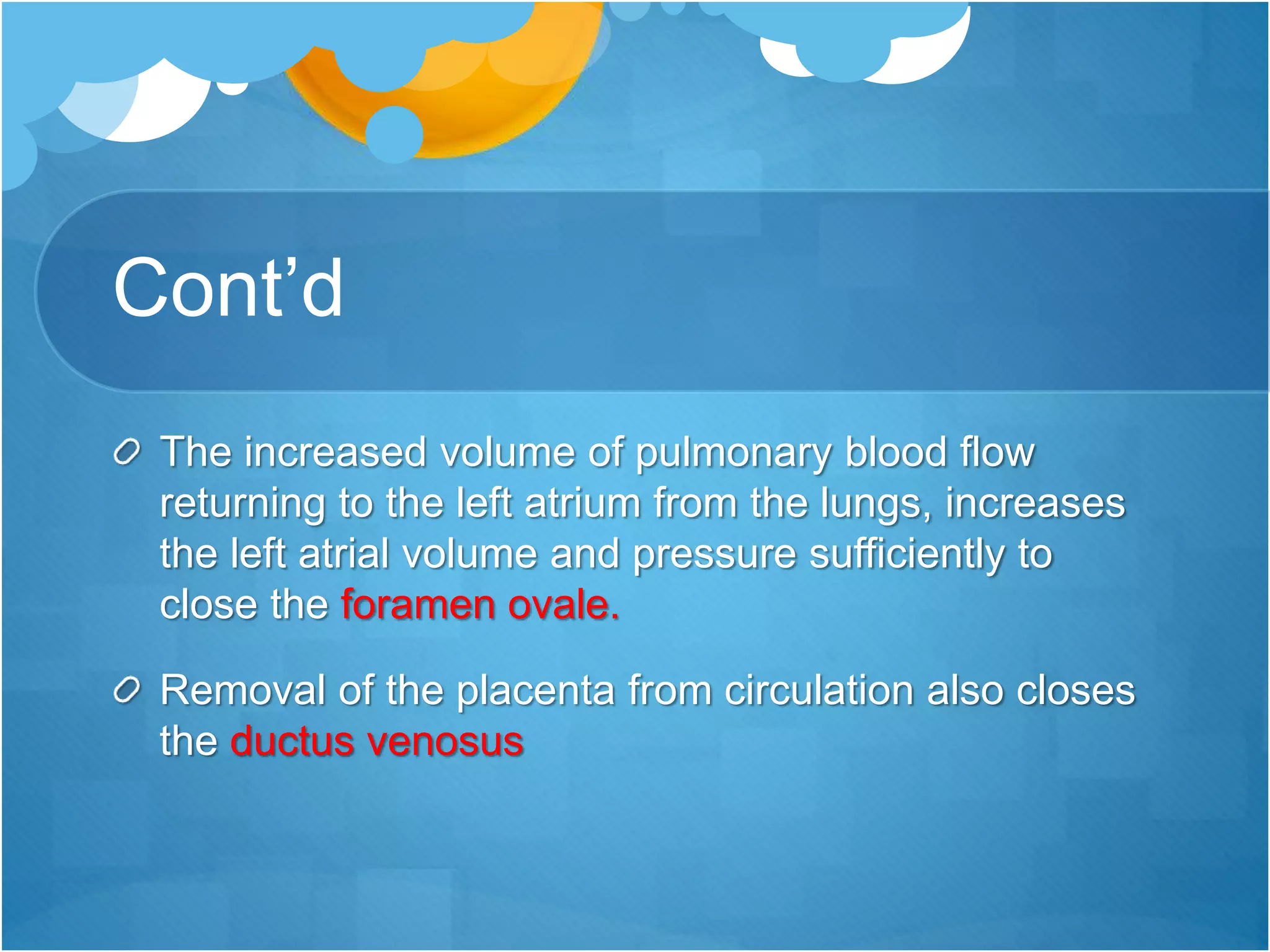 fetal circulation.pptx